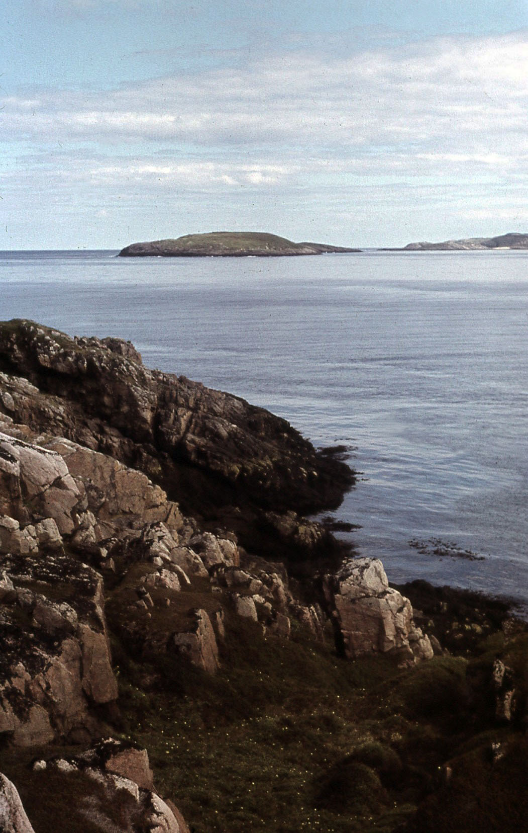 Petras Bluzma. Jūros paukščių karalystėje (II) - AIDAI