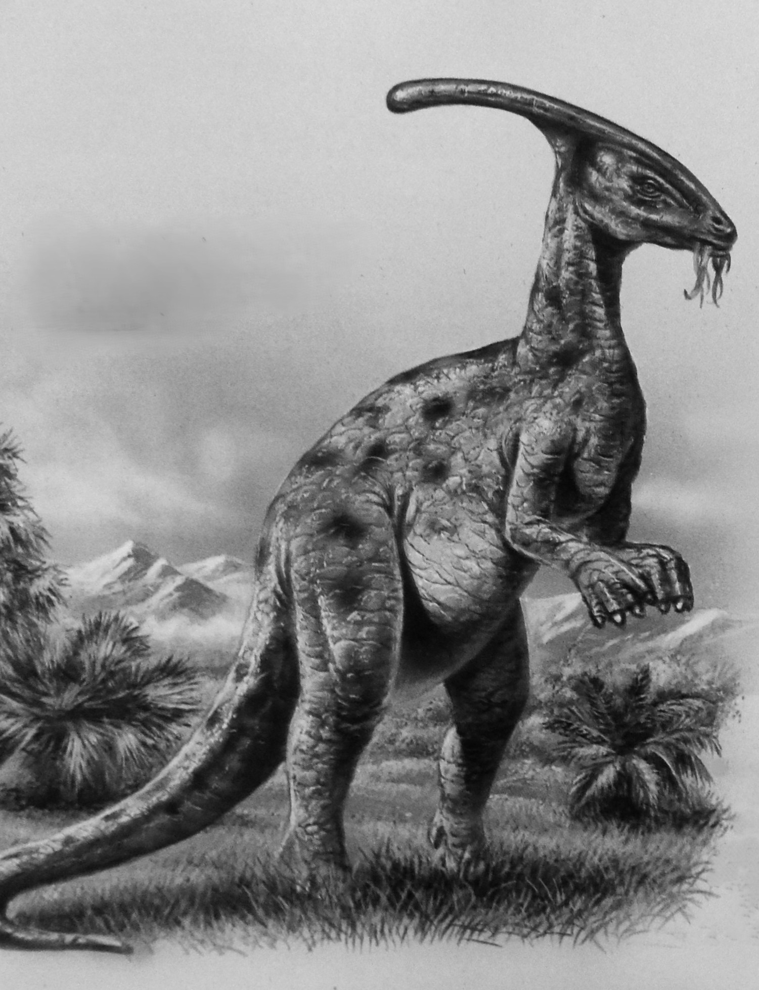 Lemtingas gyvybei Žemės amžiaus akimirksnis - AIDAI